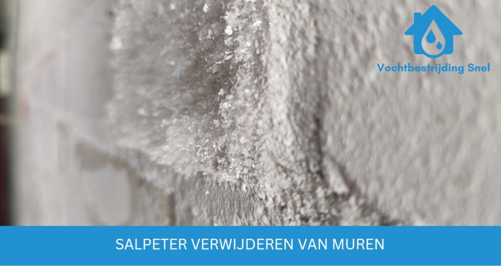 Salpeter verwijderen van muren: behandeling gids 2025